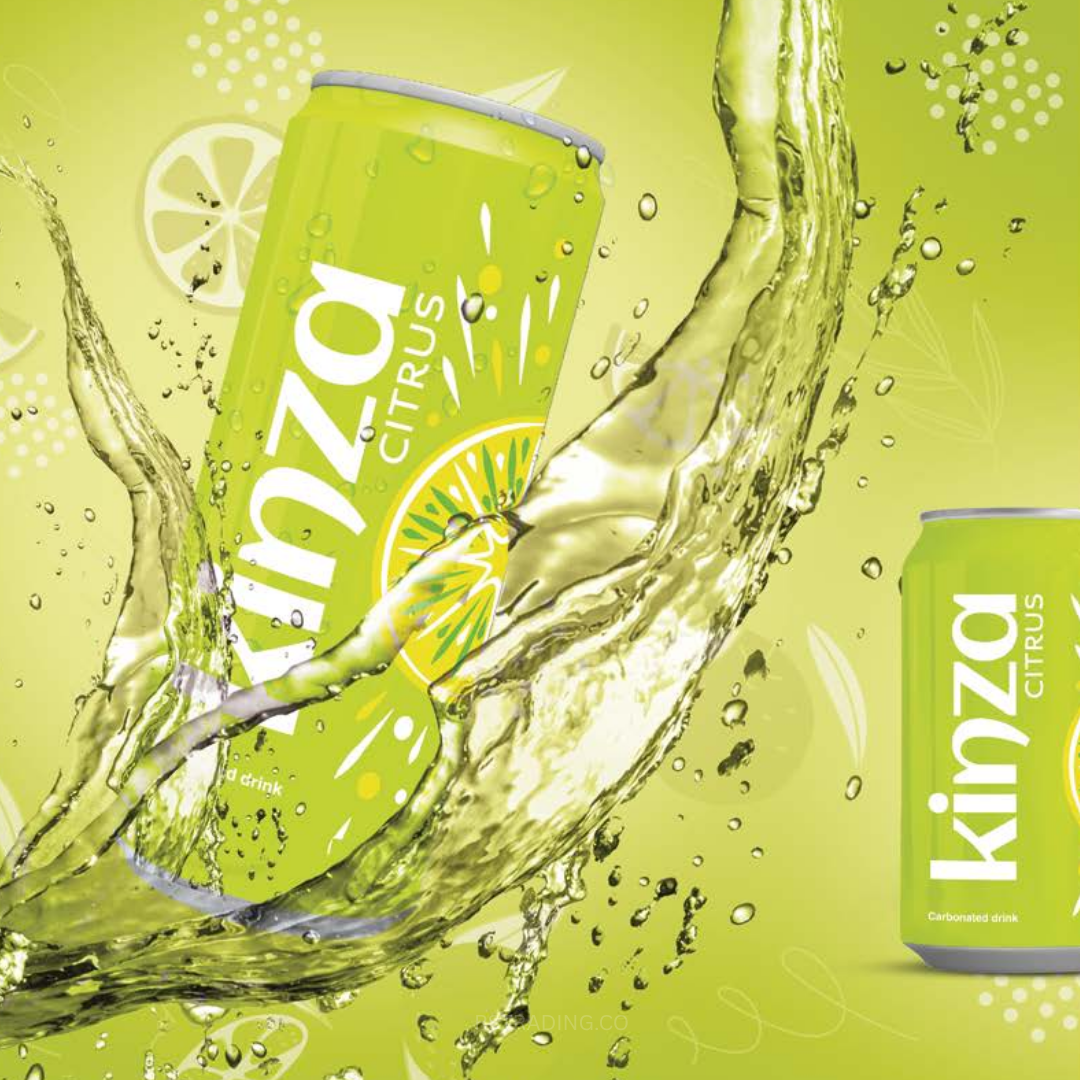 Order Kinza Citrus 300ml x 24 Cans in Dubai – RS Trading Cart